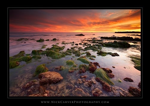 NICK CARVER PHOTOGRAPHY - Updated October 2025 - 44 Photos & 50 Reviews ...