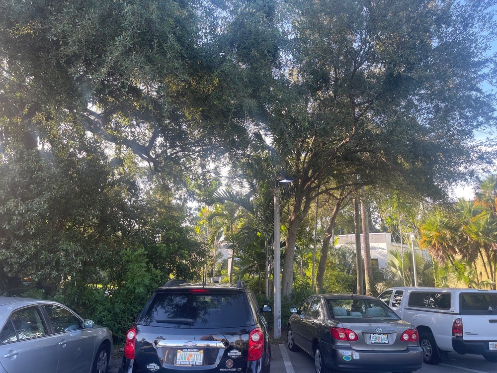 MIAMI-DADE PUBLIC LIBRARY SYSTEM - MIAMI SPRINGS BRANCH - Updated July ...