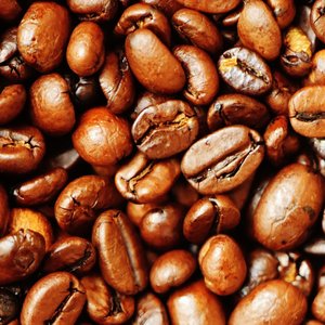 KOMPOUND CAFE - Updated May 2025 - 1429 Main St, Green Bay, Wisconsin ...