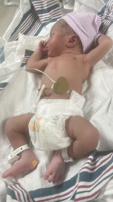 HCA FLORIDA CAPITAL HOSPITAL - Updated December 2025 - 13 Photos & 17 ...