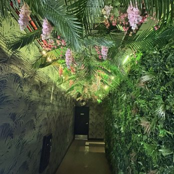 PALMA - Updated April 2025 - 1136 Photos & 561 Reviews - 903 N 2nd St ...