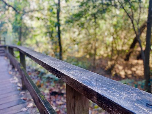 RIVER PLACE NATURE TRAIL - Updated August 2025 - 656 Photos & 252 ...