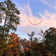 LAKE JOHNSON PARK | 273 Photos & 142 Reviews - 4601 Avent Ferry Rd ...