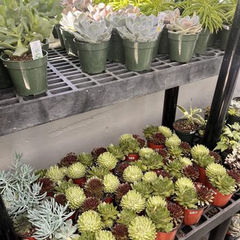 PAT’S FARMS GARDEN CENTER - Updated January 2026 - 71 Photos - 1126 ...