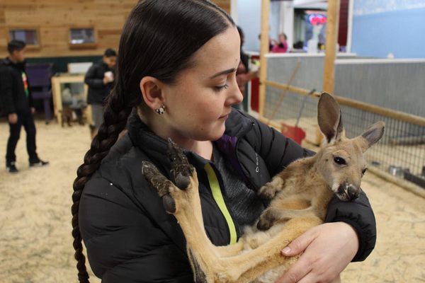 DEBBIE DOLITTLE’S PETTING ZOO - 297 Photos & 168 Reviews - 120 138th St ...