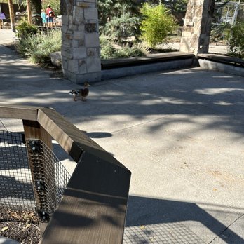 TRACY AVIARY - Updated December 2024 - 512 Photos & 187 Reviews - 589 E ...