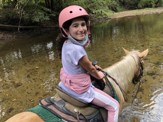 SHEEDER MILL FARM - Updated September 2024 - 91 Photos & 51 Reviews ...