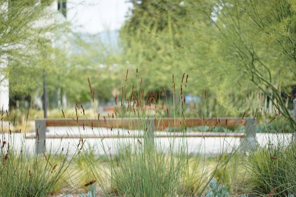 PIERRE LANDSCAPE - Updated December 2025 - 30 Photos & 13 Reviews ...