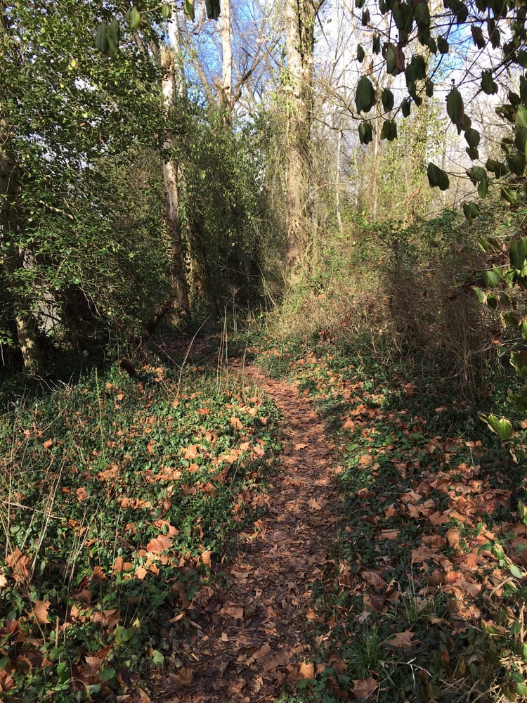 DUFF MCDUFF GREEN MEMORIAL PARK - 13 Photos - 75 James Ashby Pkwy ...