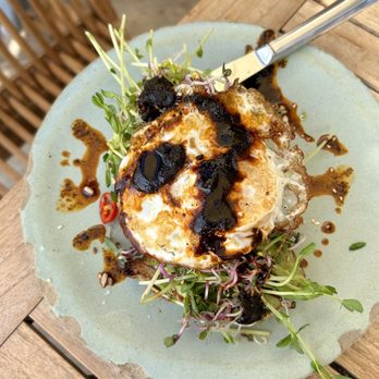 FIG TREE VENICE - Updated July 2024 - 997 Photos & 634 Reviews - 429 ...