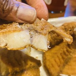 FISHBONE SEAFOOD - Updated January 2025 - 96 Photos & 163 Reviews ...