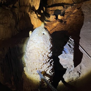 MERCER CAVERNS - Updated January 2026 - 309 Photos & 168 Reviews - 1665 ...