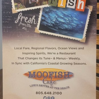 MOOFISH CAFE - Updated June 2024 - 43 Photos & 37 Reviews - 450 E ...