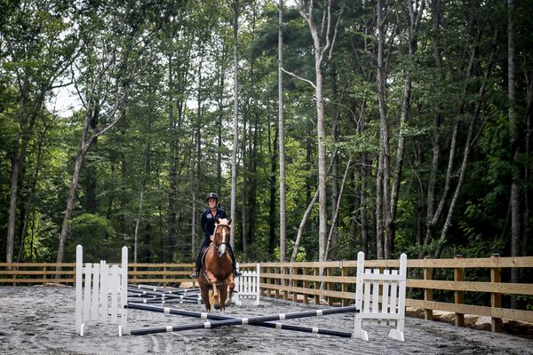 BLUE STAR CAMPS FOR BOYS & GIRLS - Updated March 2025 - 13 Photos ...