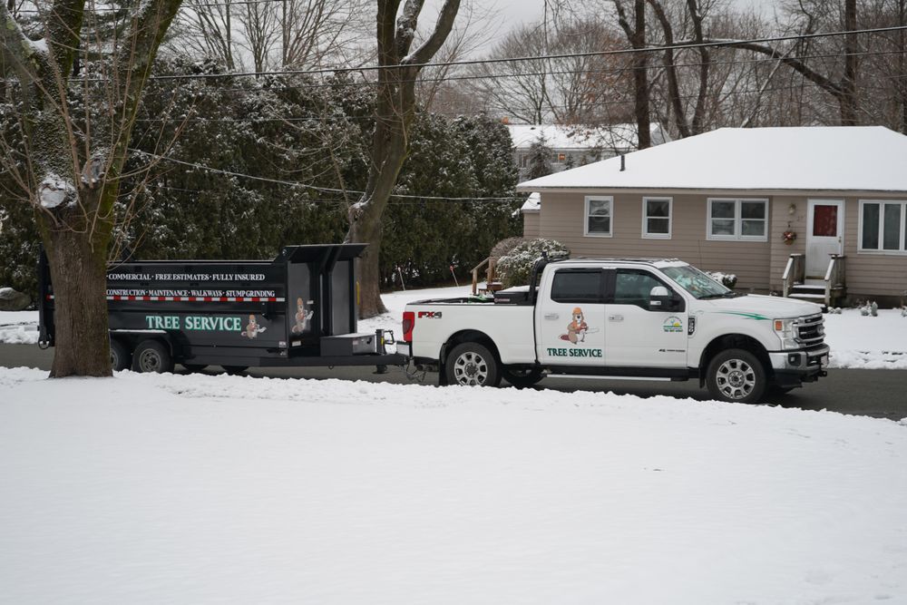 LUCA TREE SERVICE - Updated August 2025 - 13 Photos - 97 Lake St ...