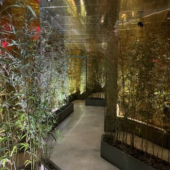 AIKO - Updated December 2024 - 1421 Photos & 261 Reviews - 1902 ...