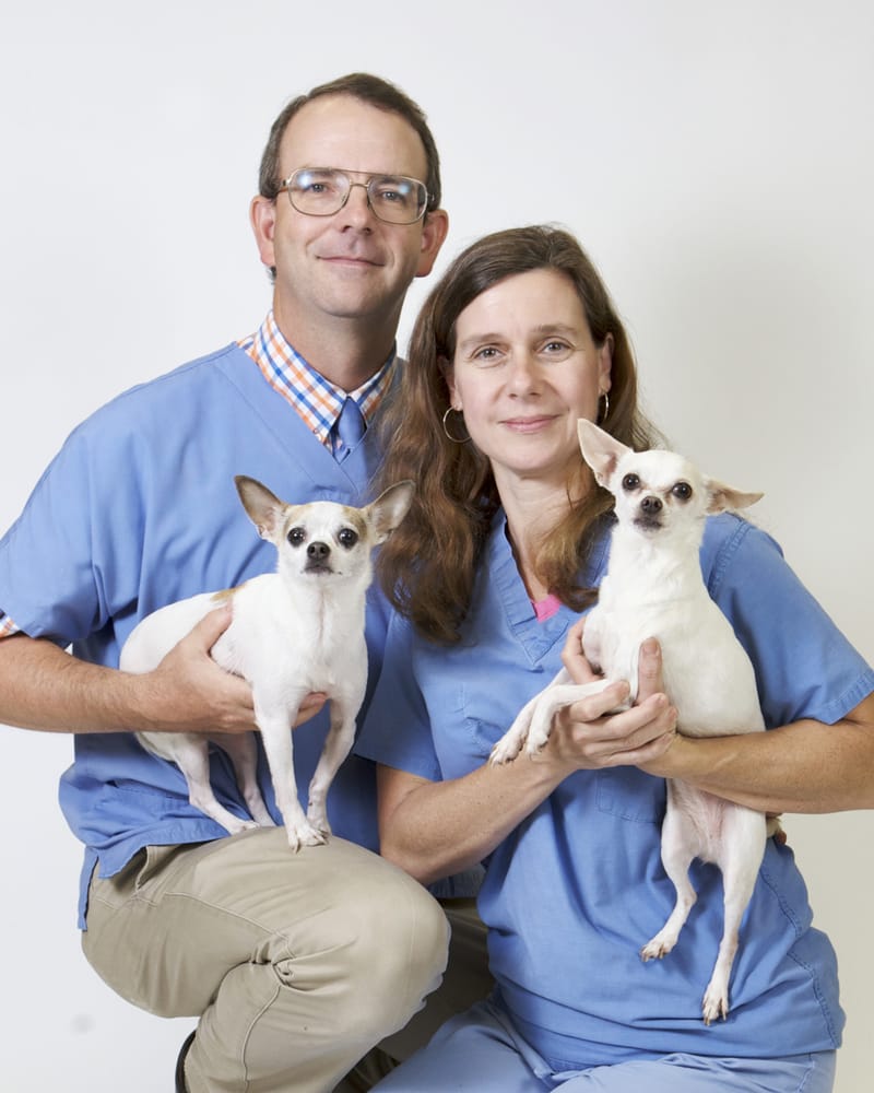 OAKDALE ANIMAL HOSPITAL - 10 Photos & 10 Reviews - 2028 Hwy 471 ...