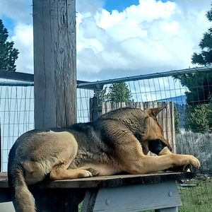 HIGH DESERT STATE PRISON - Updated October 2025 - 21 Photos - 475-750 ...