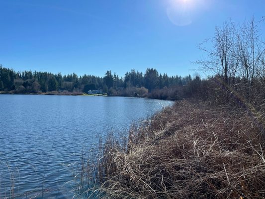 PHANTOM LAKE PARK - 42 Photos - 2034 156th Ave SE, Bellevue, WA - Yelp