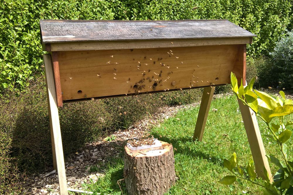 TINUI STATION HOMESTEAD - Updated July 2025 - 16 Photos - 4195 ...