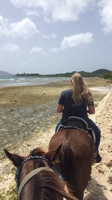 GOLDEN AGE RANCH - Updated October 2025 - St Thomas, Virgin Islands ...