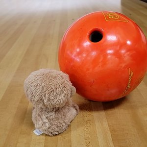AMF STRATHMORE LANES - Updated February 2025 - 26 Photos & 56 Reviews ...