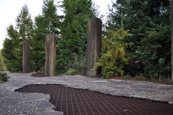 BLACK RIVER RIPARIAN FOREST AND WETLAND - Updated October 2025 ...