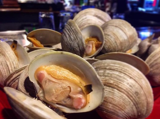 TIPSY TURTLE - 24 Photos & 41 Reviews - 29 Market St, Jenkins Township ...