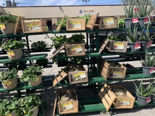 CRAFTY BEAVER HOME CENTER - Updated December 2025 - 29 Photos & 36 ...