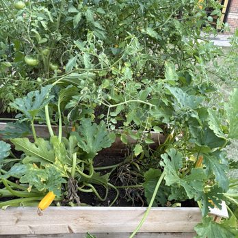 BRIGHTON DISTRICT LIBRARY - Updated August 2025 - 17 Photos - 100 ...