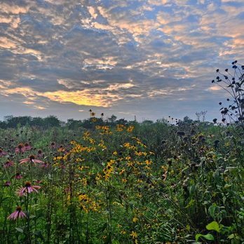 PEARL’S FEN - Updated October 2025 - 19 Photos - 4535 Byron Rd ...