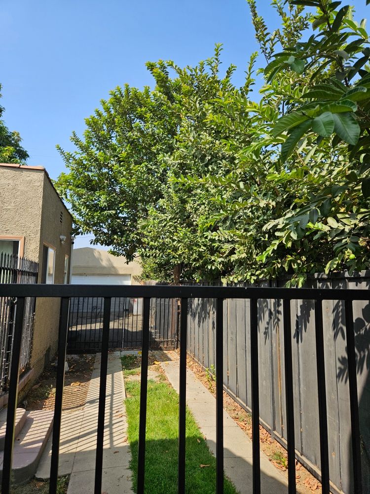 BASIC YARD CARE - Updated October 2025 - 23 Photos - Rosemead ...