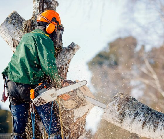 THE TREE MARSHALL - Updated September 2025 - 10 Photos - 13701 Pleasant ...