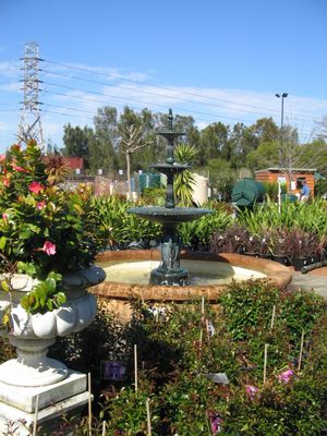 FLOWER POWER GARDEN CENTRE TAREN POINT - Updated October 2025 - Taren ...