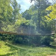 ANNE SPRINGS CLOSE GREENWAY - 214 Photos & 59 Reviews - 2573 Lake ...