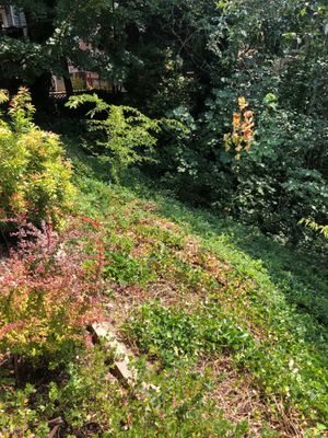 MONAGHAN’S LANDSCAPING - Updated July 2025 - 66 Photos & 38 Reviews ...