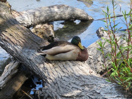 SHIPLEY NATURE CENTER - 283 Photos & 44 Reviews - 17851 Goldenwest St ...