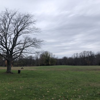 ROSE TREE PARK - Updated September 2025 - 332 Photos & 31 Reviews ...