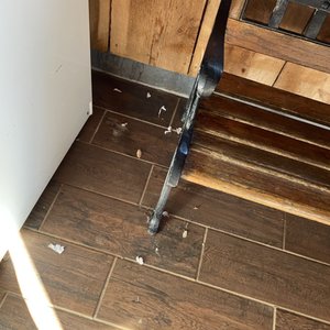 CARSON RIVER RESORT - 68 Photos & 32 Reviews - 12399 Hwy 89 ...