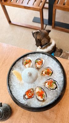 TOKYO TABLE - Updated December 2025 - 804 Photos & 252 Reviews - 5701 ...