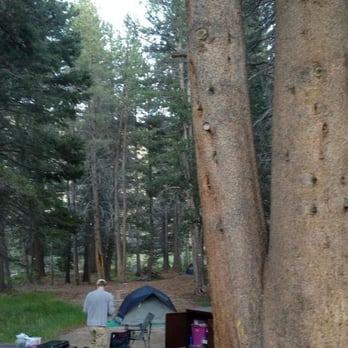 ROBINSON CREEK CAMPGROUND - Updated October 2025 - 23 Photos - Twin ...