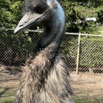 MERCED FRUIT BARN - Updated October 2025 - 43 Photos & 28 Reviews ...