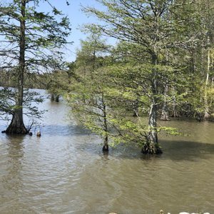 STUMPY LAKE NATURAL AREA - 237 Photos & 17 Reviews - 4794 Indian River ...