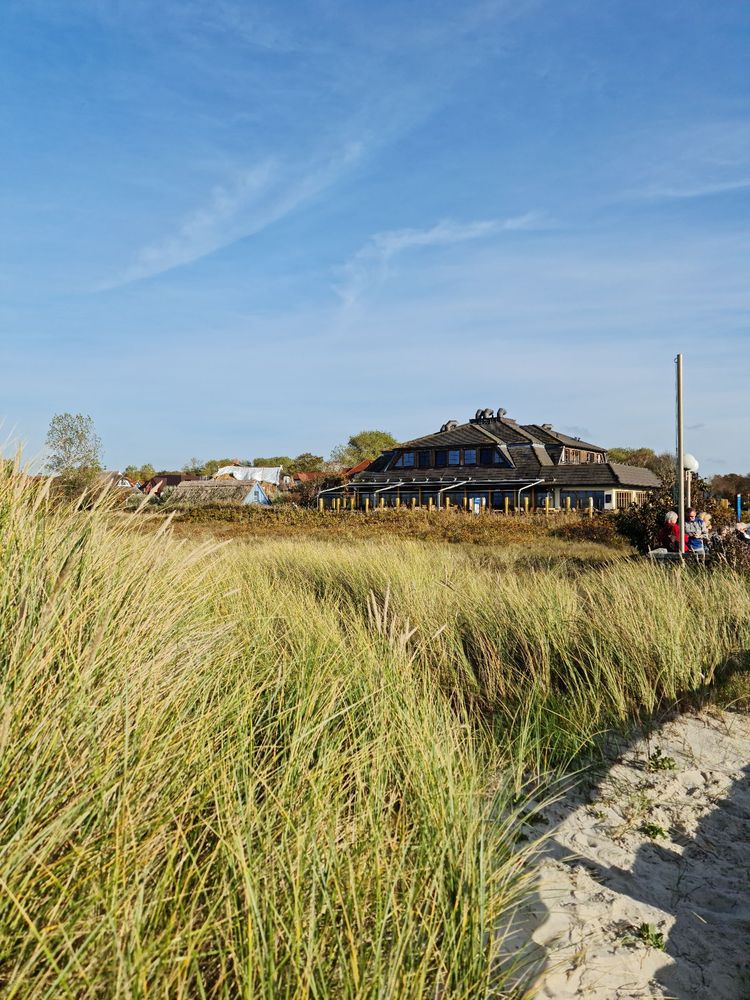 MOBY DICK - Updated June 2024 - 21 Photos & 24 Reviews - Strandstr. 54 ...