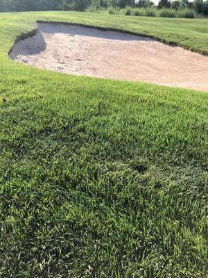 TURTLE CREEK GOLF COURSE - Updated July 2024 - 16 Photos & 23 Reviews ...