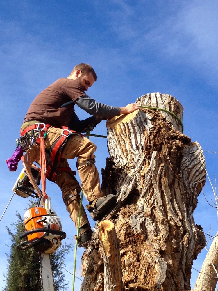 MASTER ARBOR - Updated October 2025 - 69 W Primrose Ln, Washington ...