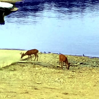 BUCKS LAKESHORE VACATION RESORT - Updated October 2025 - 13 Photos & 15 ...