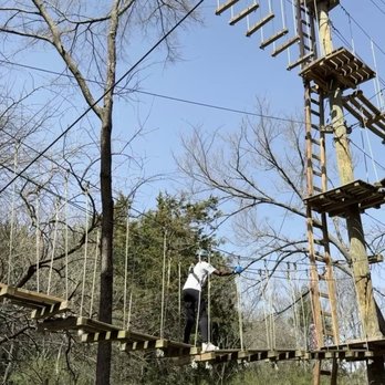 TRINITY FOREST ADVENTURE PARK - Updated October 2025 - 153 Photos & 82 ...