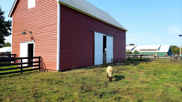 FRYING PAN FARM PARK - 226 Photos & 73 Reviews - 2709 W Ox Rd, Herndon ...