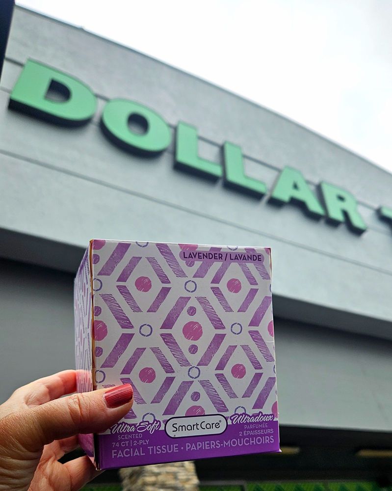 DOLLAR TREE - Updated December 2025 - 15 Photos & 20 Reviews - 10534 SE ...